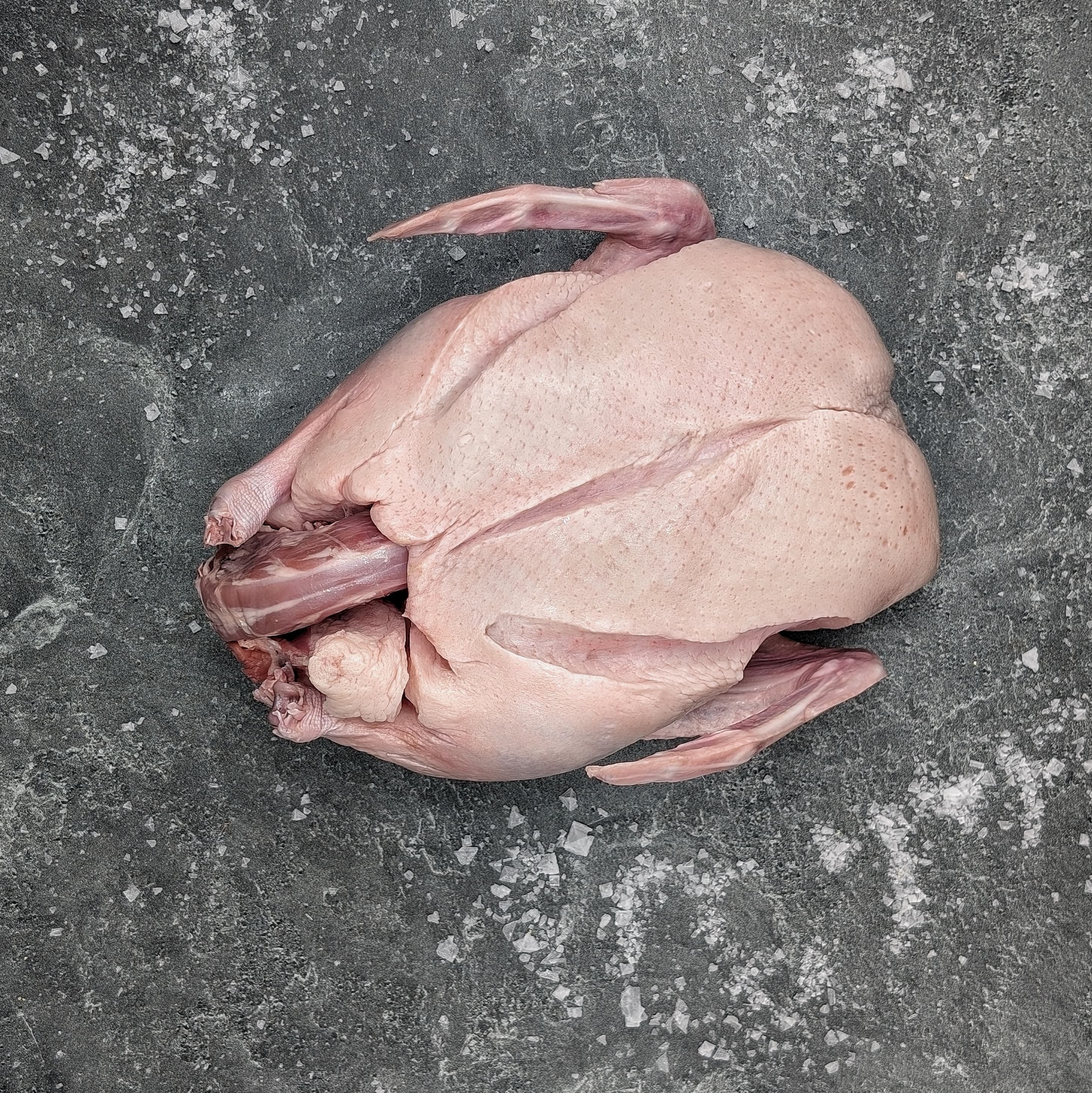 Buy Fresh Duck Online | Moulard Duck & Foie Gras