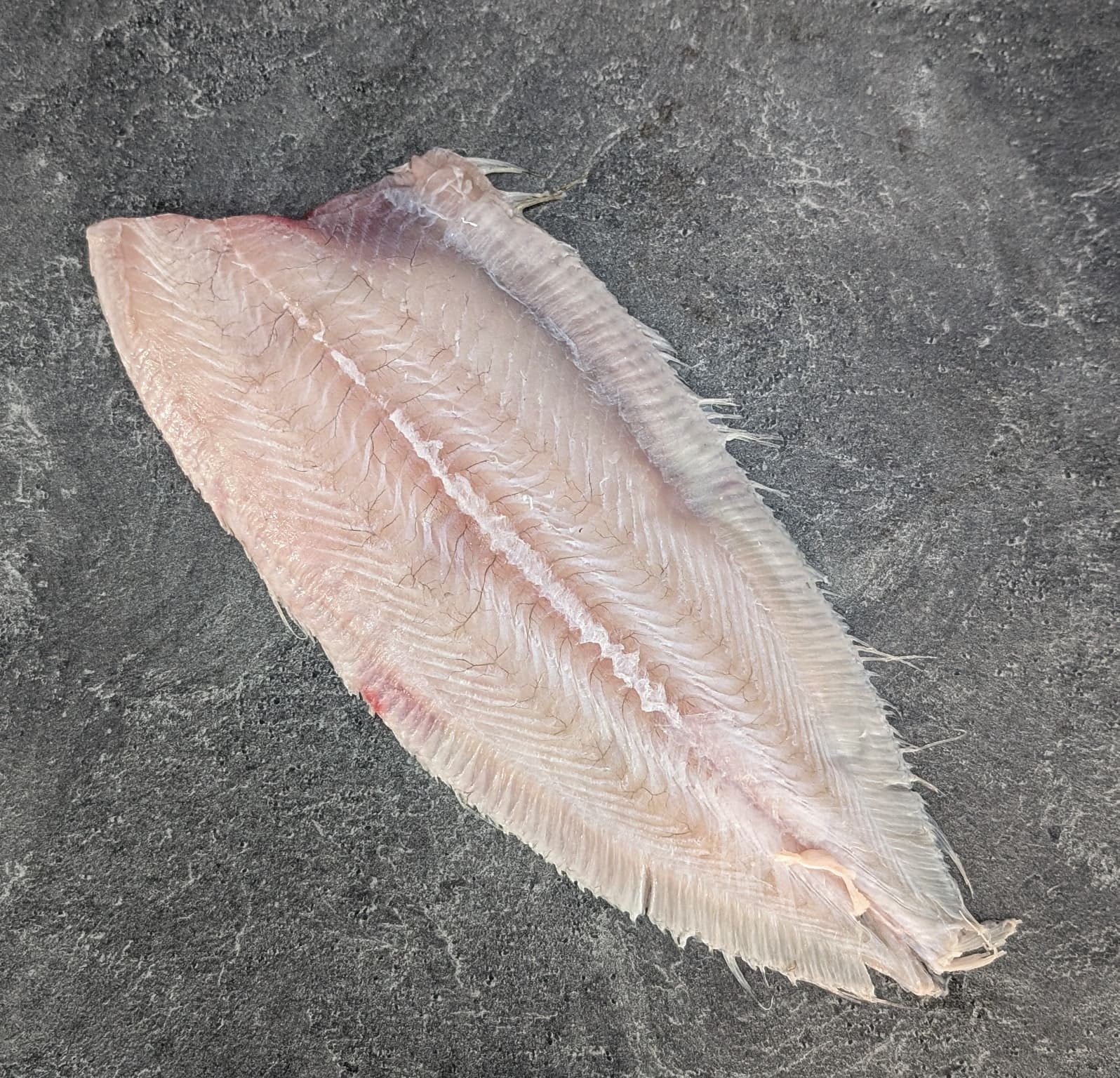 Spanish Sole & Delicate White Fish