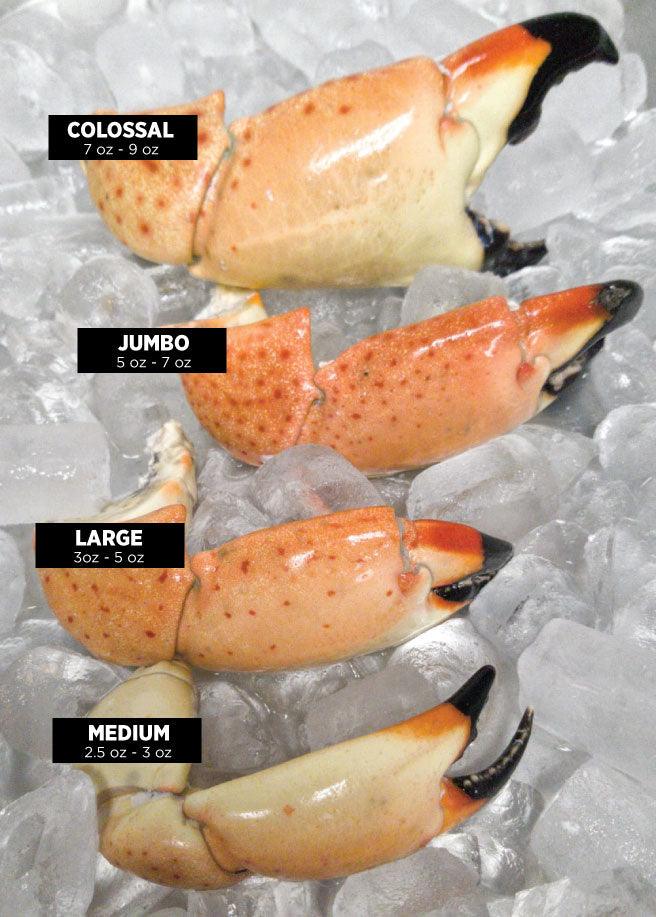 Giant Stone Crab